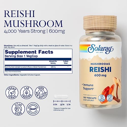 natural energy boost from mushrooms