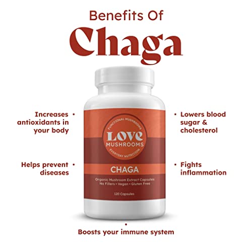 natural energy boost from mushrooms