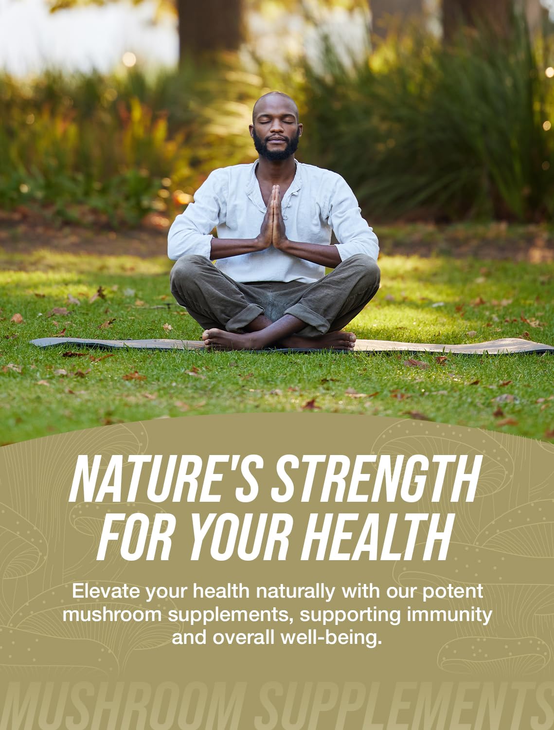 Natural energy boost from mushrooms