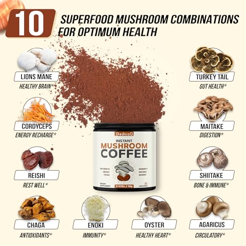 natural energy boost from mushrooms