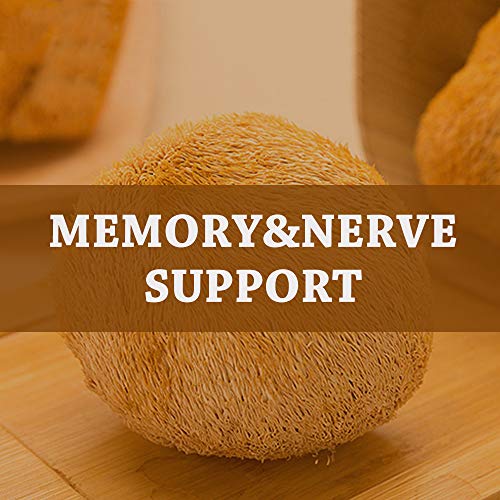 Natural energy boost from mushrooms
