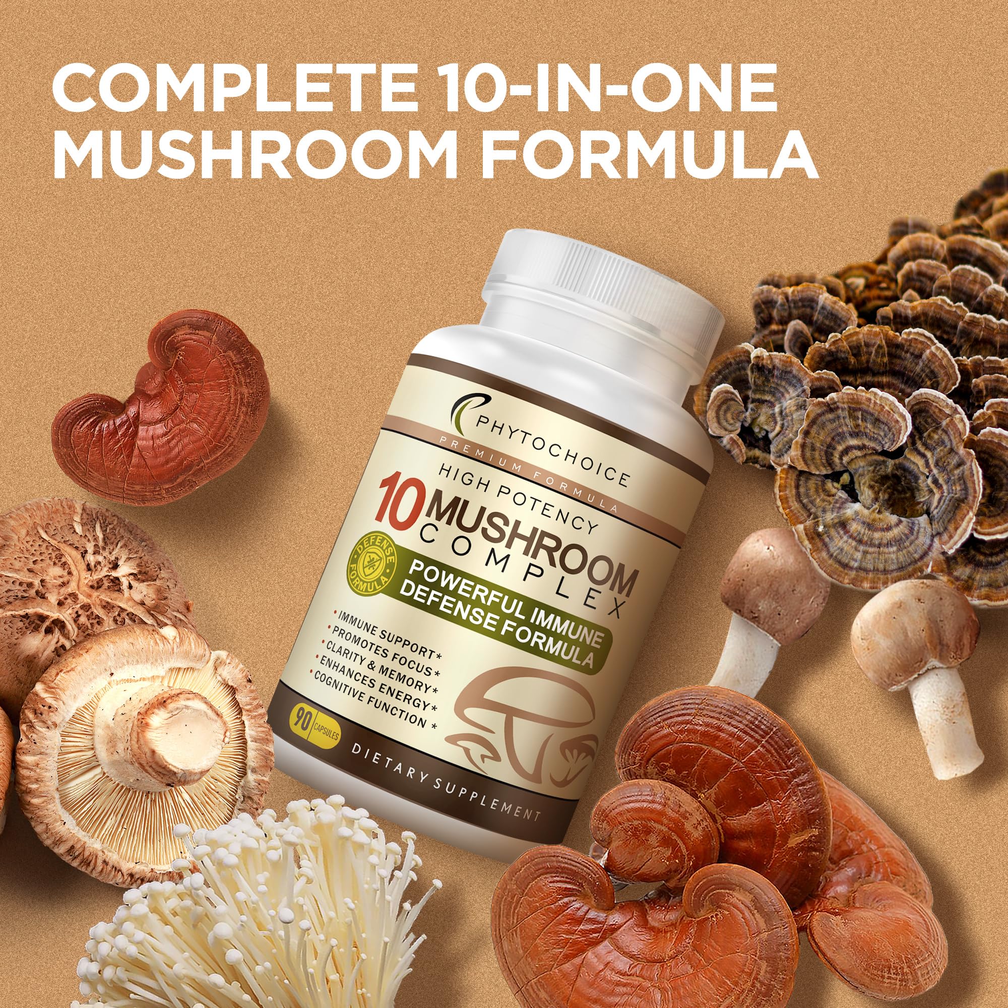natural energy boost from mushrooms