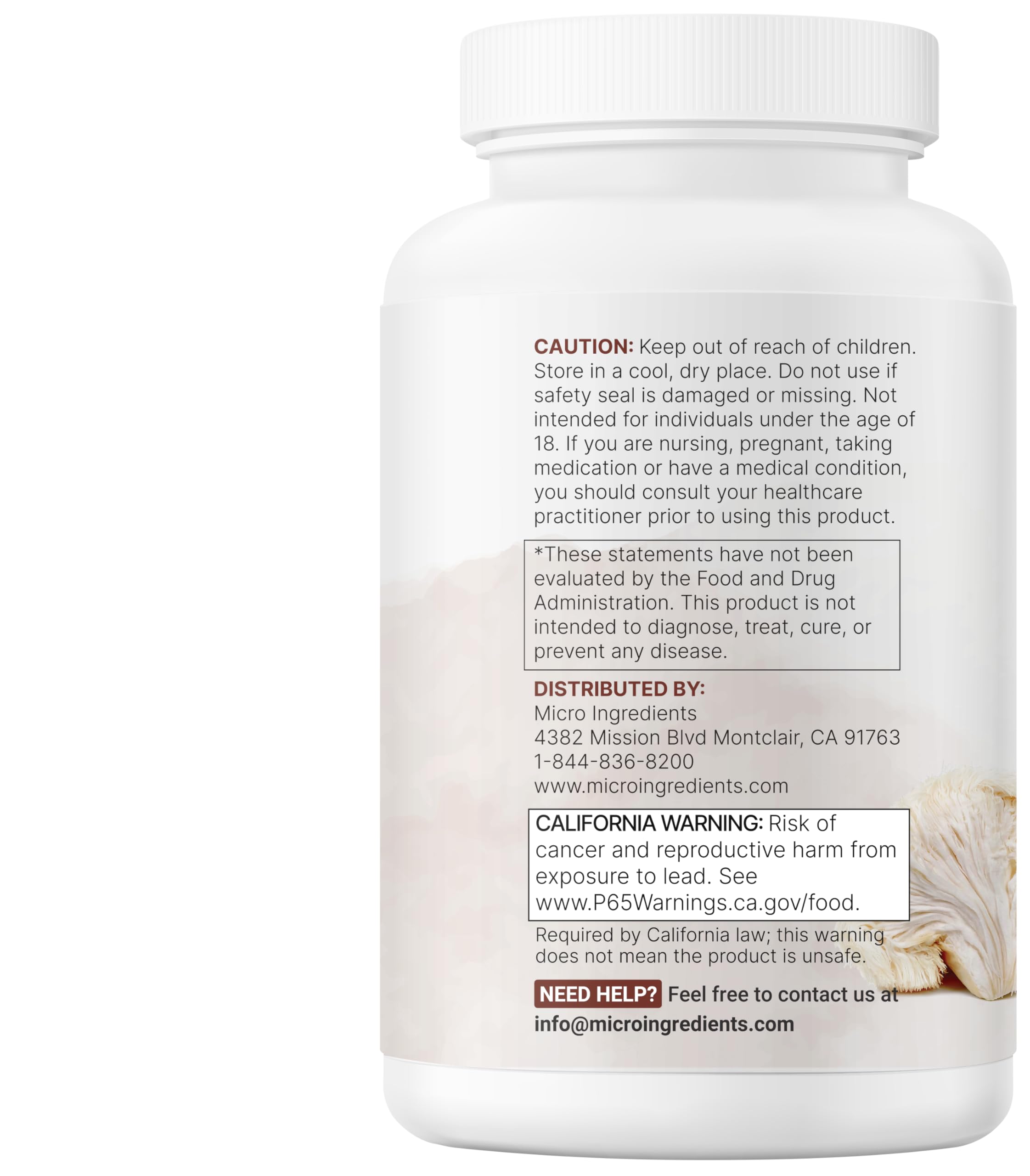 natural energy boost from mushrooms