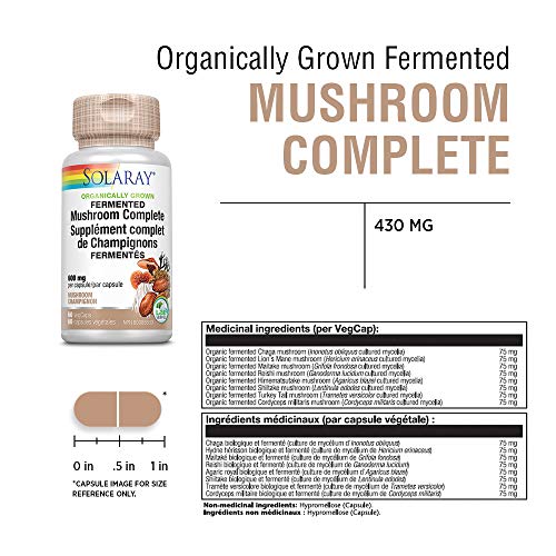natural energy boost from mushrooms