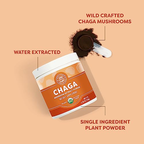 natural energy boost from mushrooms
