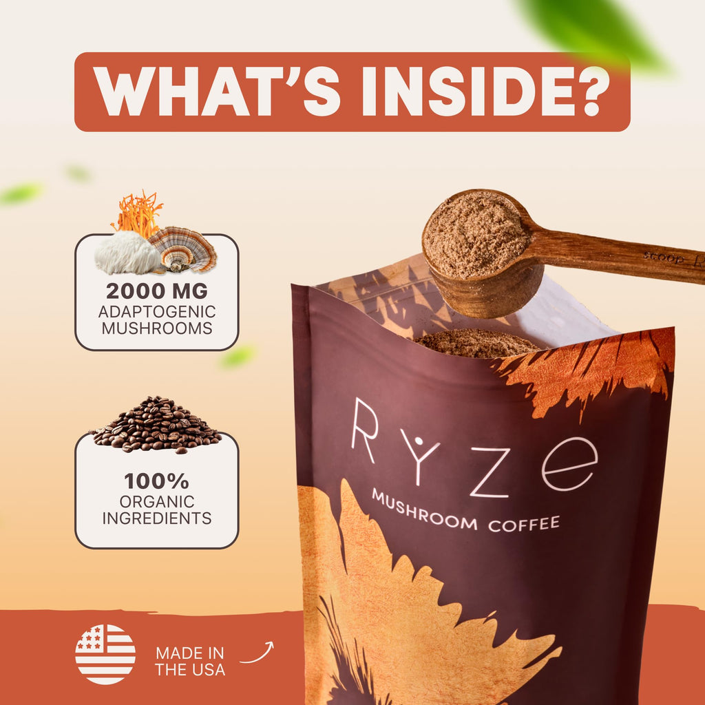 natural energy boost from mushrooms