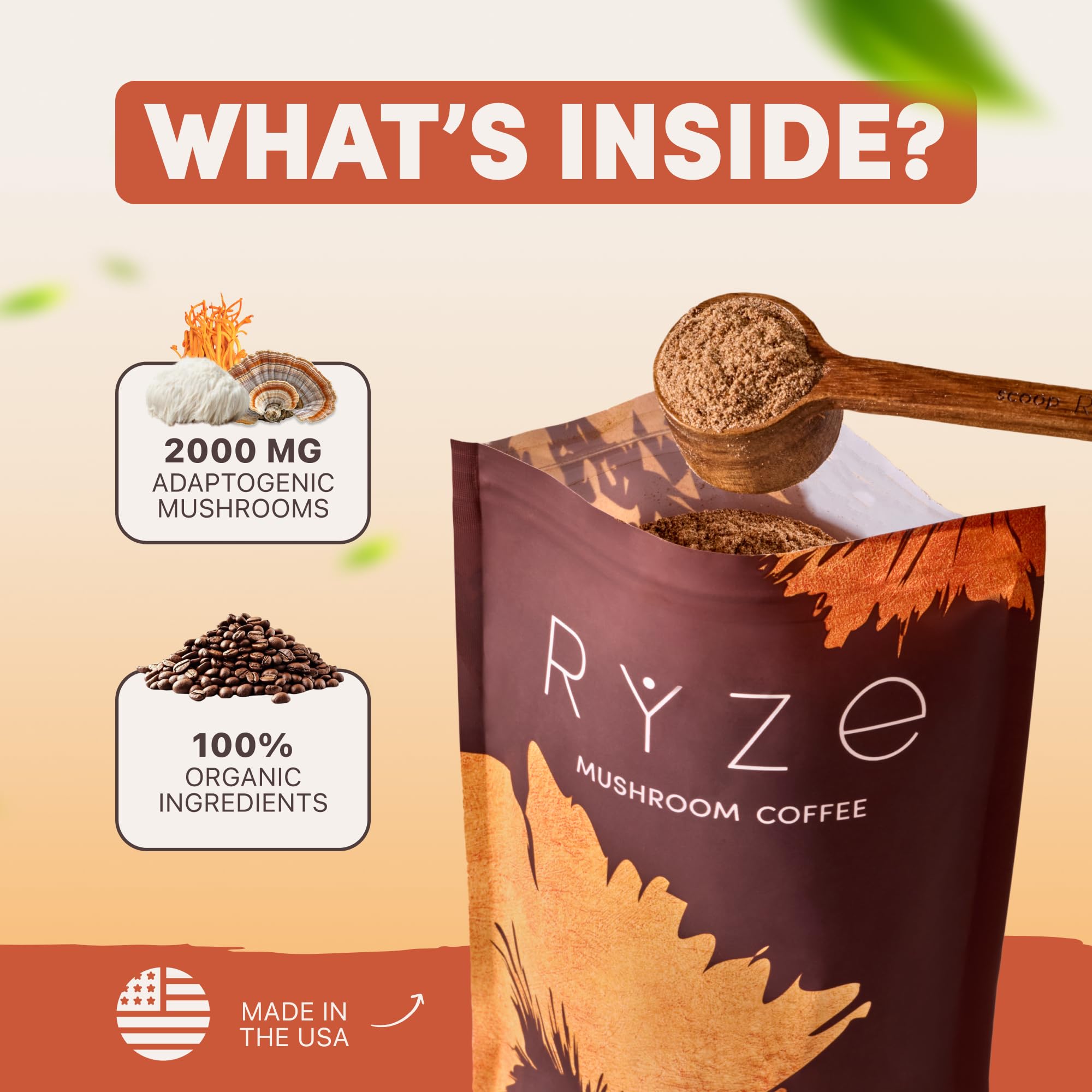 natural energy boost from mushrooms