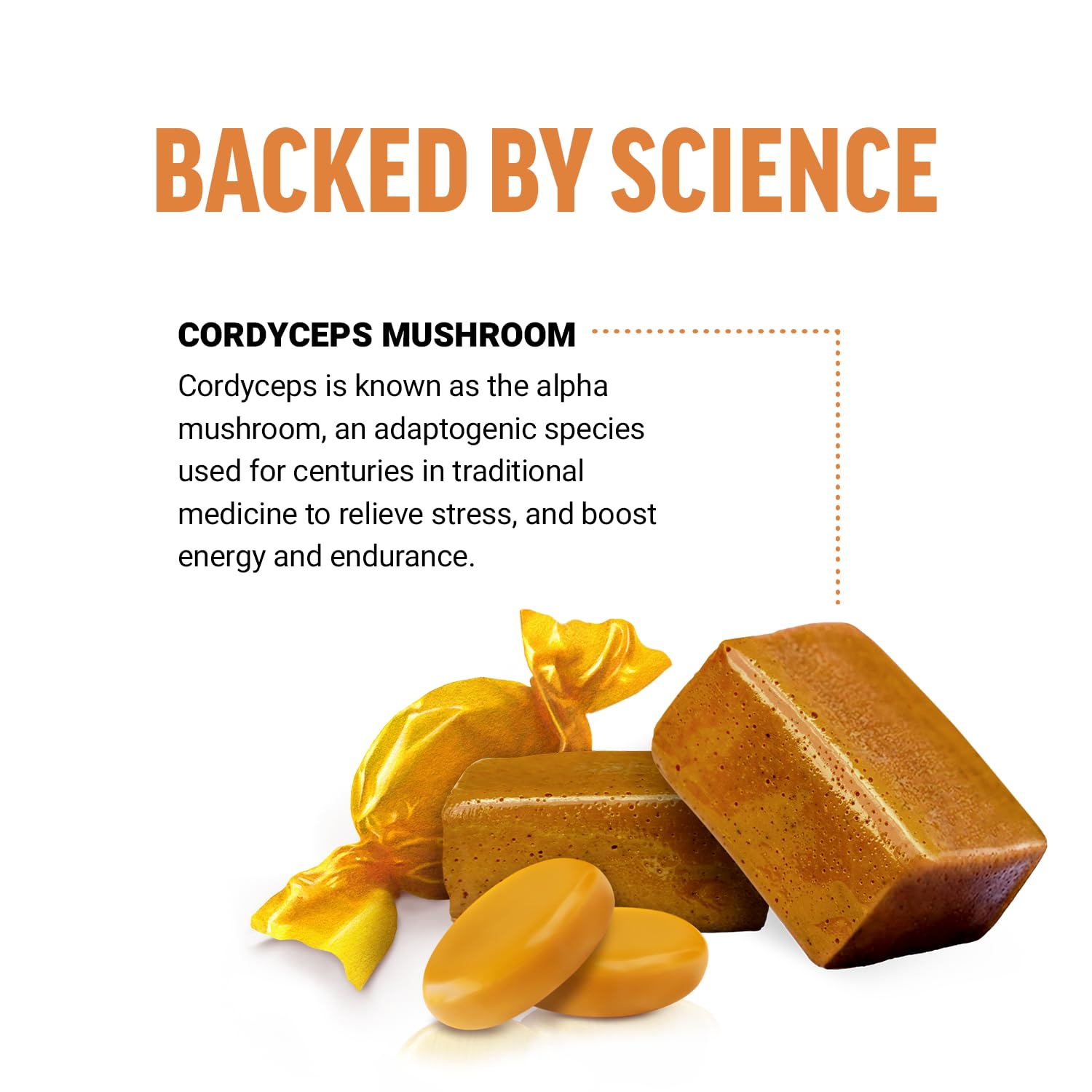 Natural energy boost from mushrooms