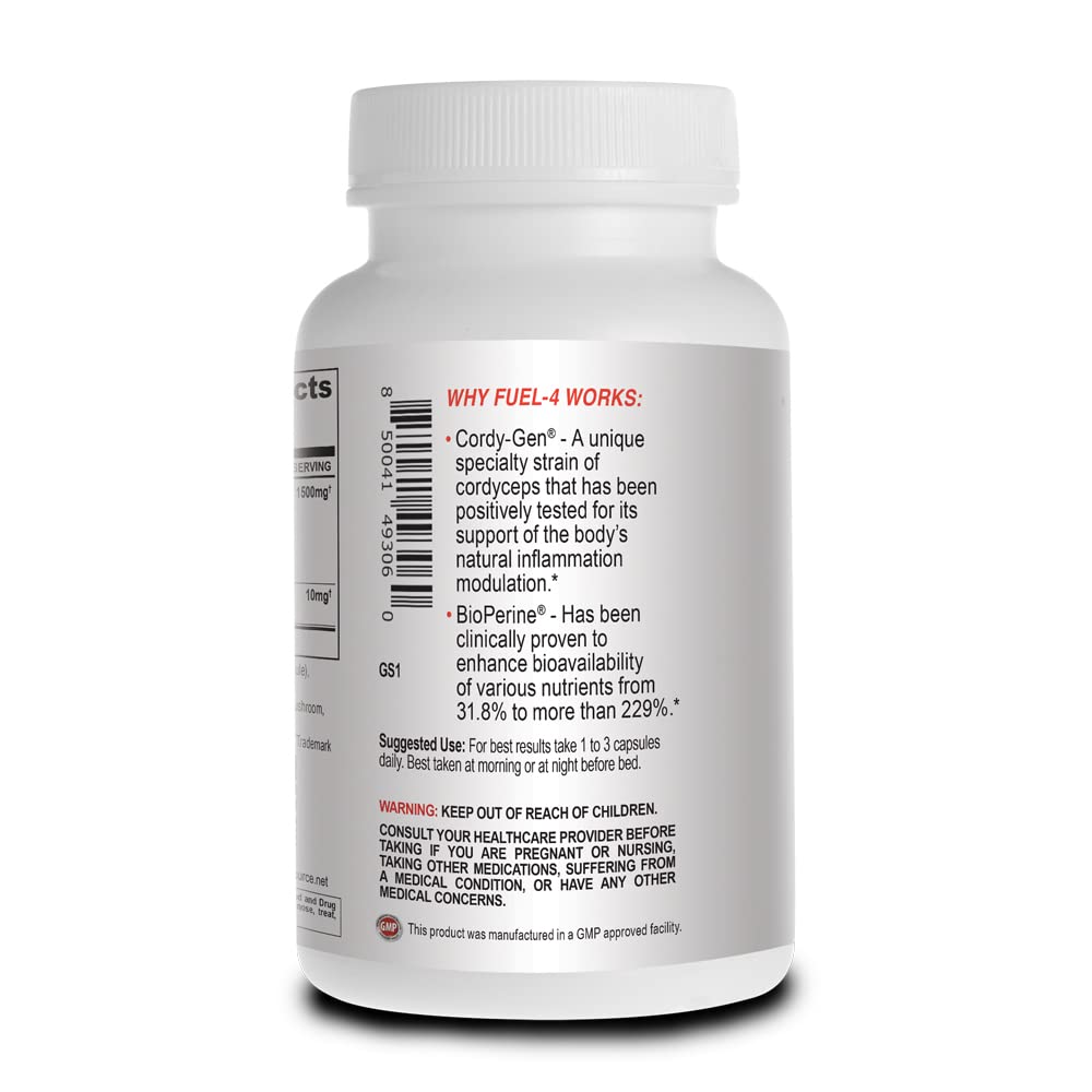 natural energy boost from mushrooms