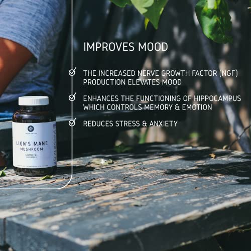 natural energy boost from mushrooms