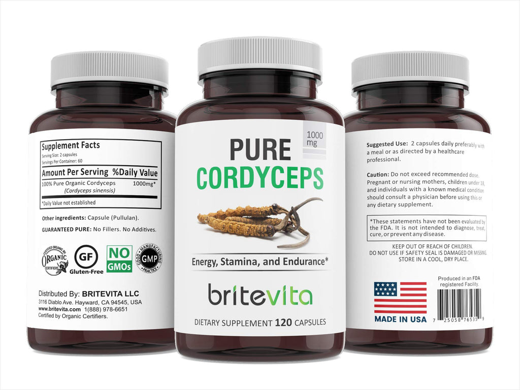 natural energy boost from mushrooms