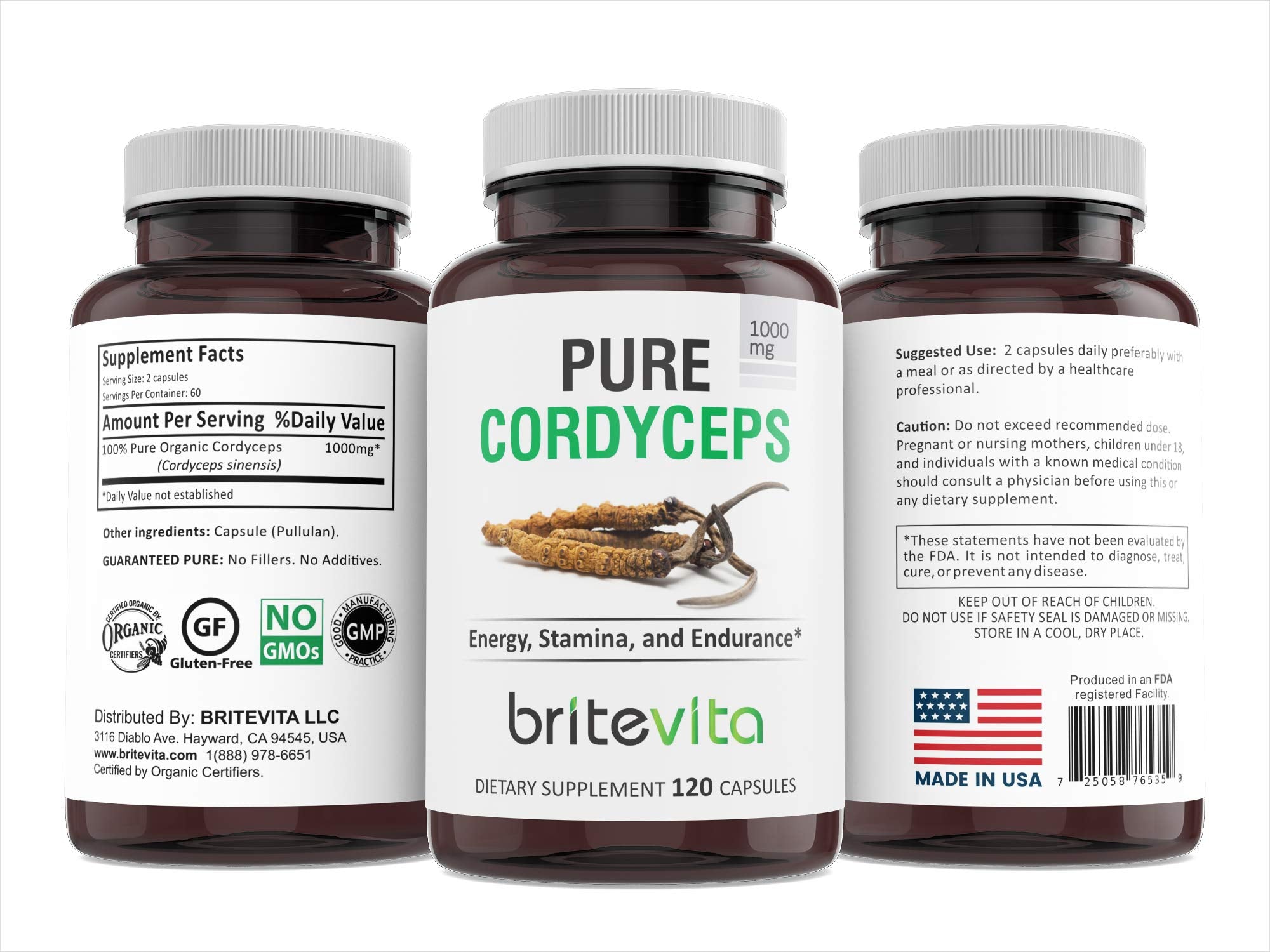 natural energy boost from mushrooms