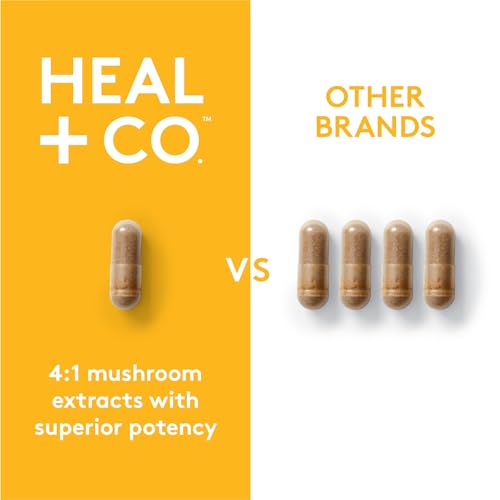 natural energy boost from mushrooms