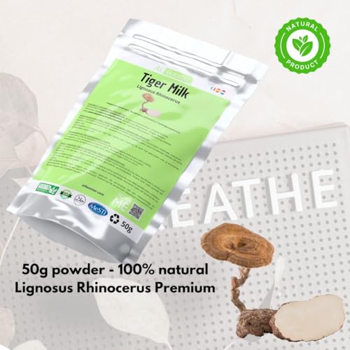 natural energy boost from mushrooms