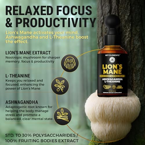 natural energy boost from mushrooms