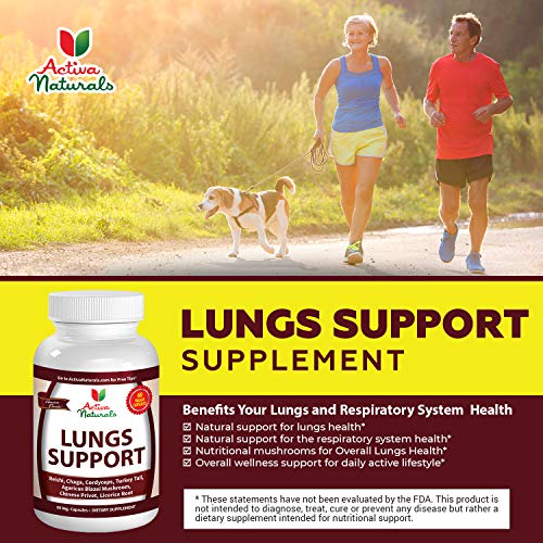 natural energy boost from mushrooms