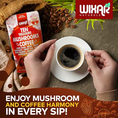 natural energy boost from mushrooms