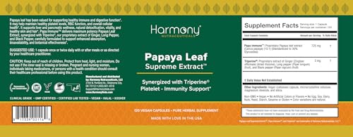natural energy boost from mushrooms
