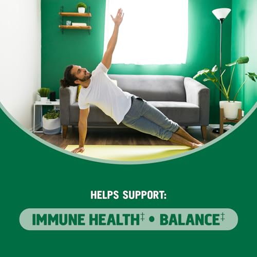 natural energy boost from mushrooms