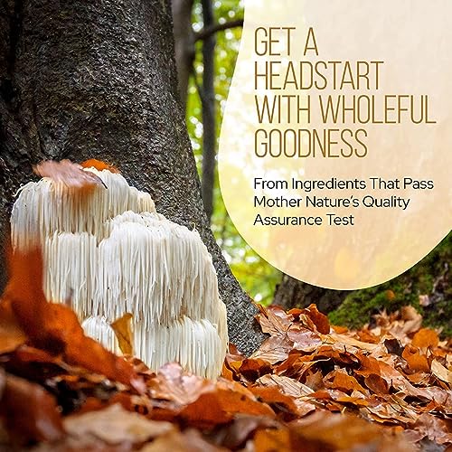 natural energy boost from mushrooms