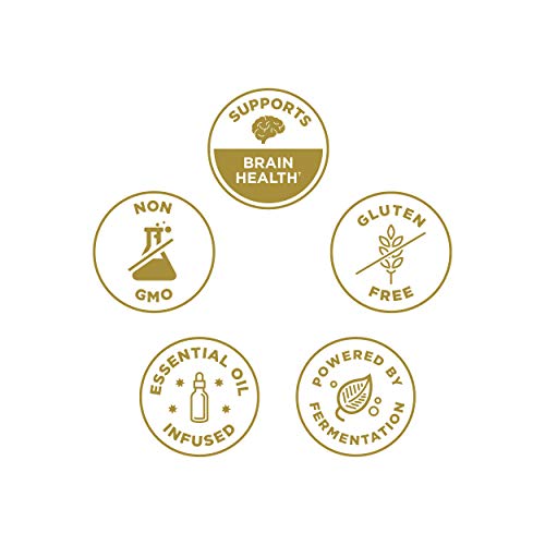 Natural energy boost from mushrooms
