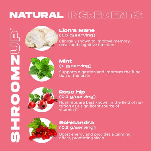 natural energy boost from mushrooms