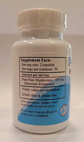 natural energy boost from mushrooms