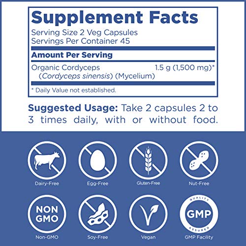Natural energy boost from mushrooms