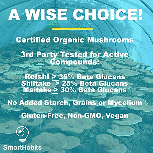 natural energy boost from mushrooms
