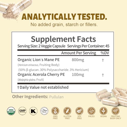 natural energy boost from mushrooms