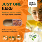 Natural energy boost from Reishi