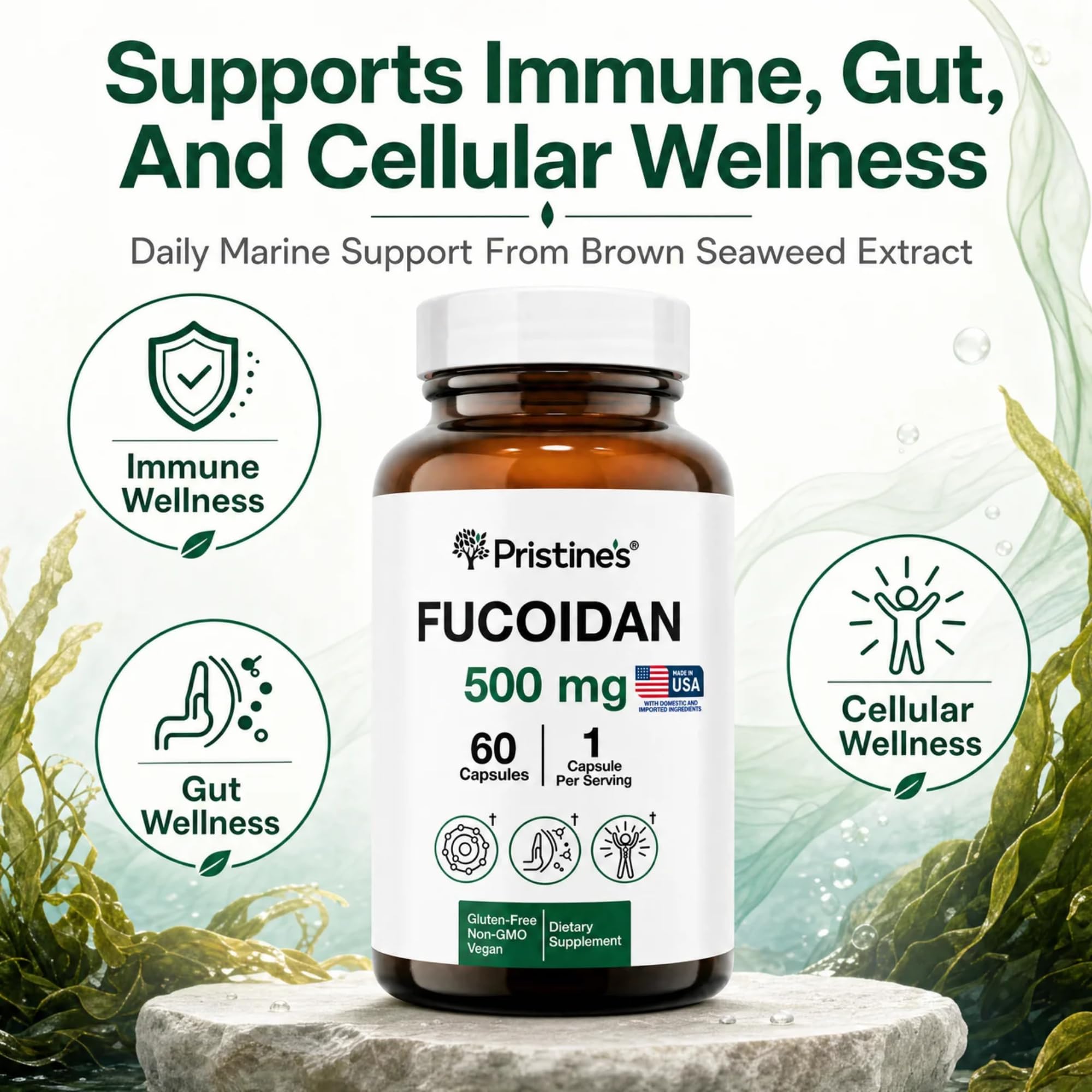 natural energy boost from seaweed