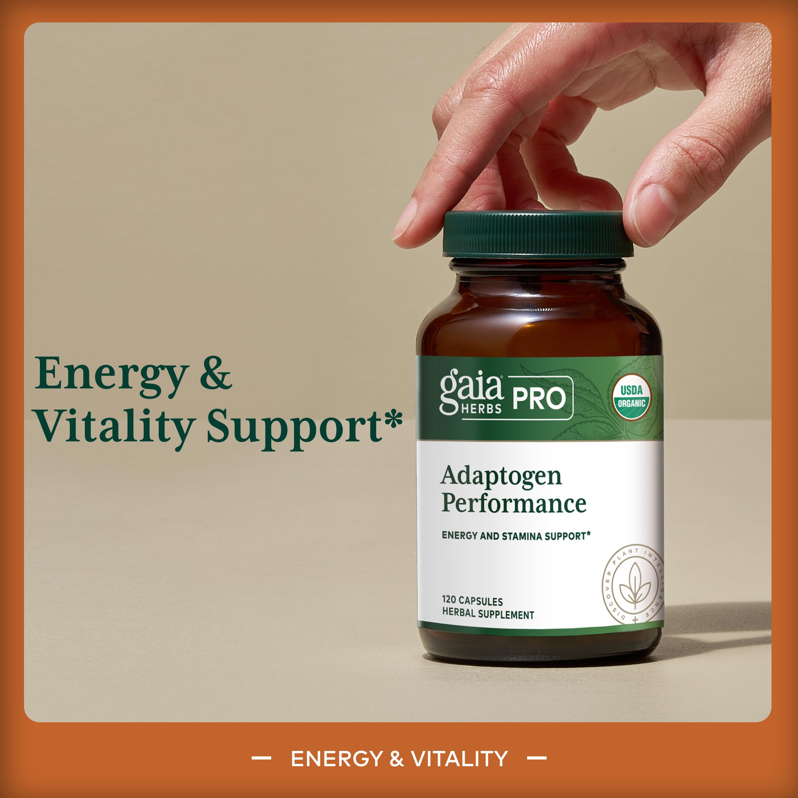 natural energy boost GAIA HERBS PRO