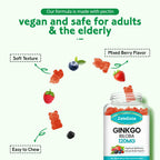 natural energy boost ginkgo biloba gummies