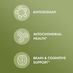 natural energy boost ginkgo biloba