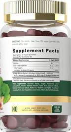 Natural energy boost Ginkgo Biloba