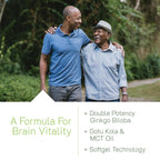 natural energy boost ginkgo biloba