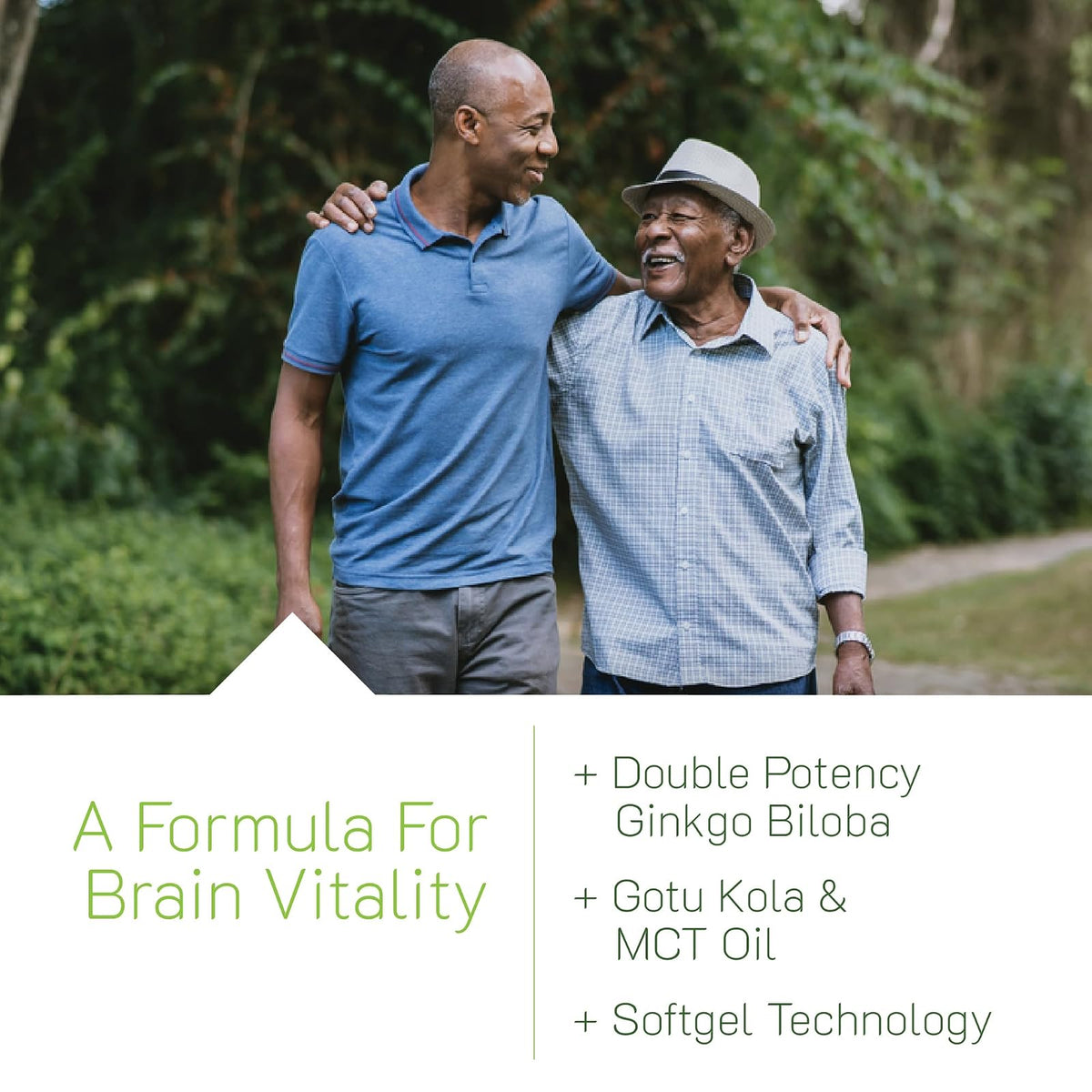 natural energy boost ginkgo biloba