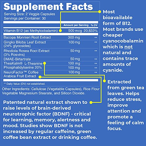 natural energy boost ginkgo biloba