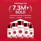natural energy boost green tea extract