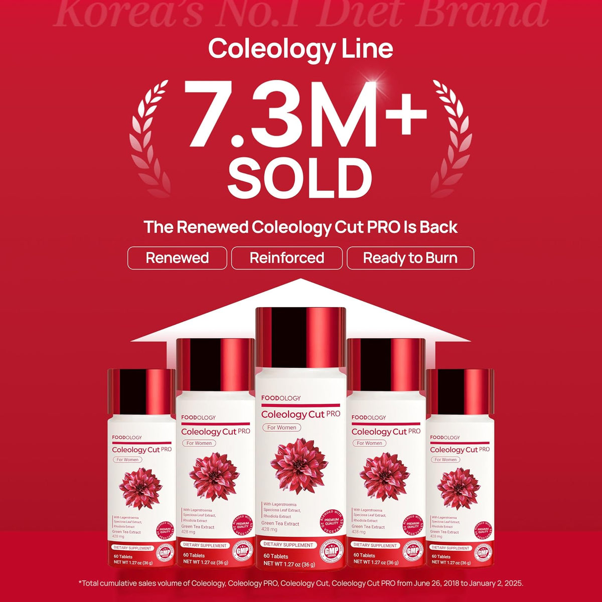 natural energy boost green tea extract