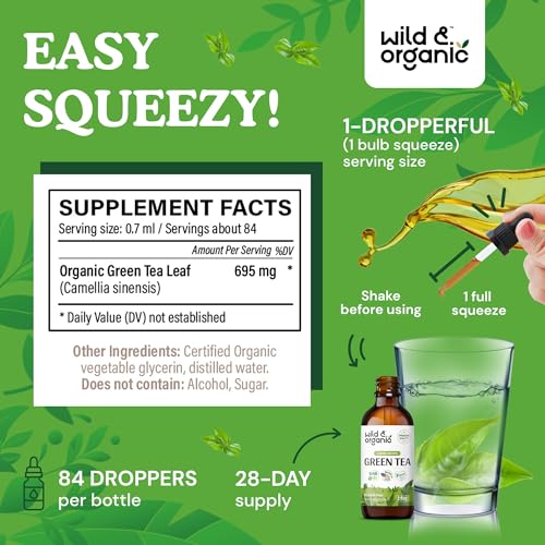 natural energy boost green tea extract
