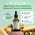 natural energy boost green tea extract