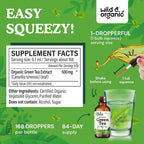 natural energy boost green tea extract