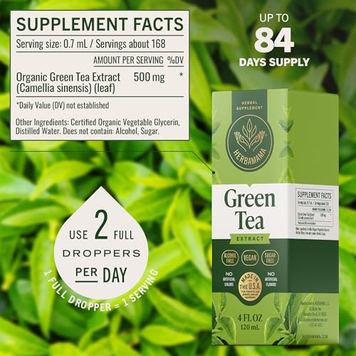 natural energy boost green tea extract