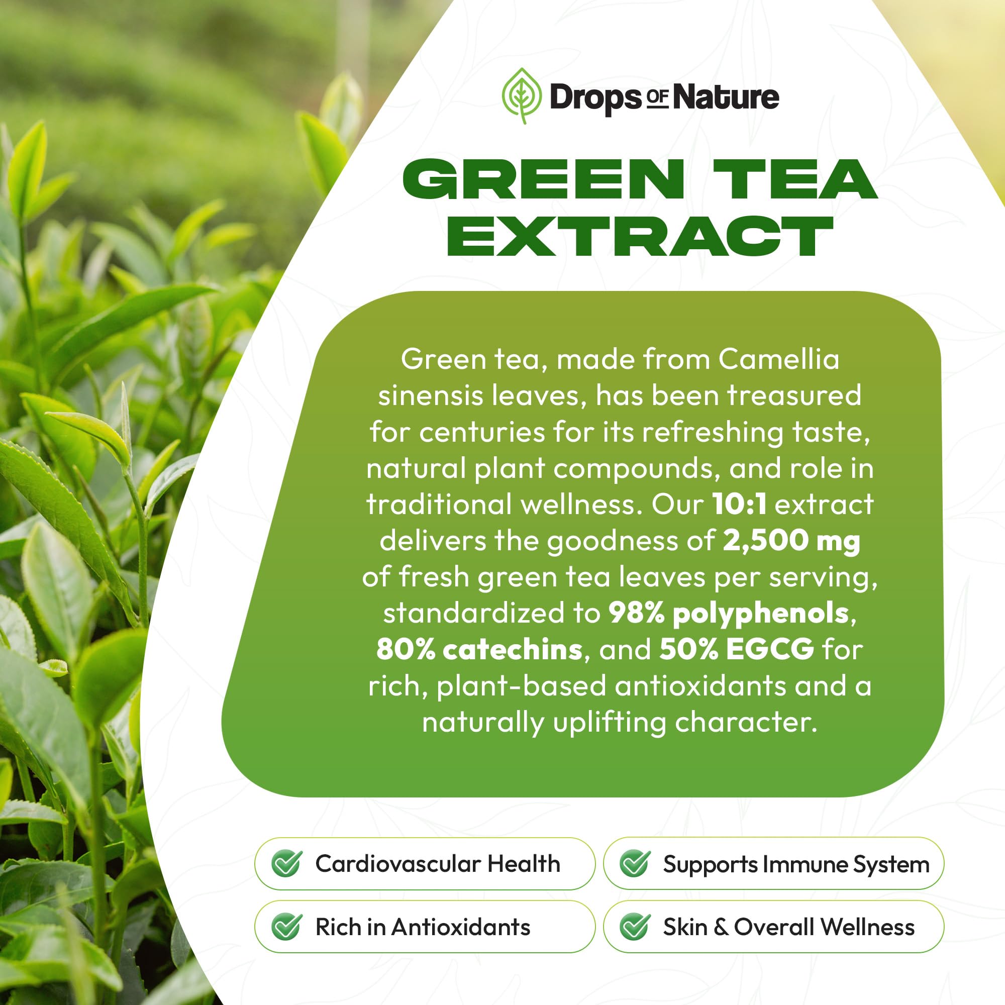 natural energy boost green tea
