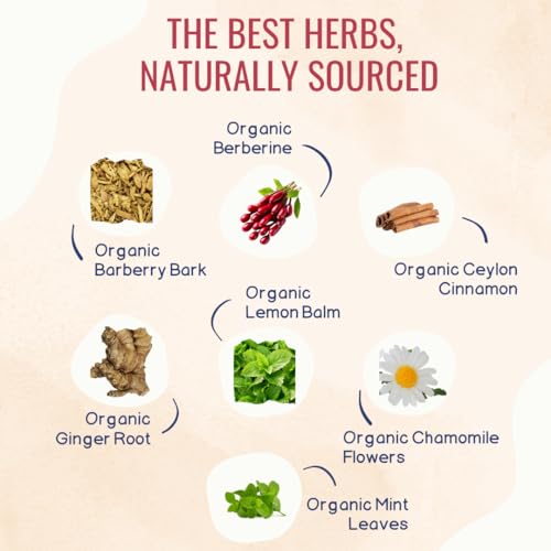 natural energy boost herbal tea