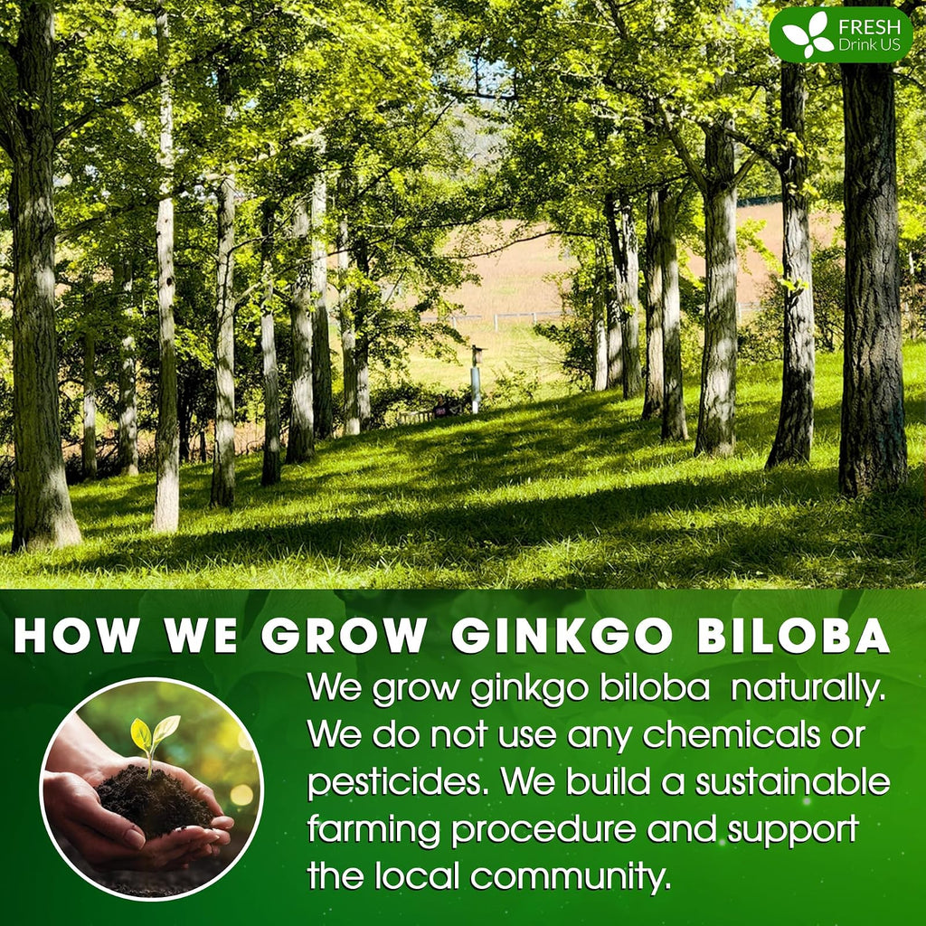 natural energy boost herbal tea