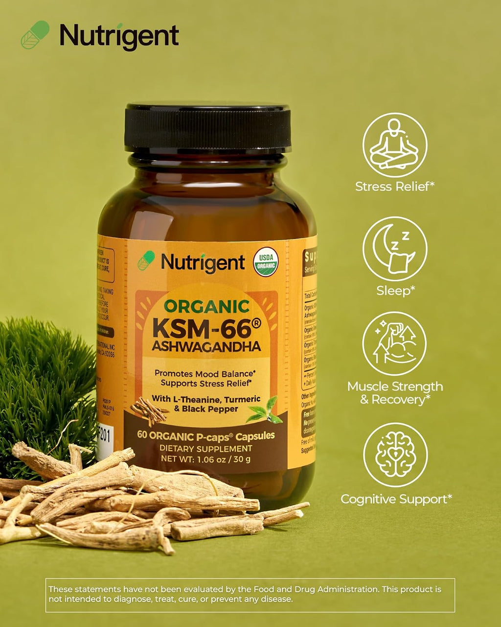 natural energy boost KSM-66 Ashwagandha