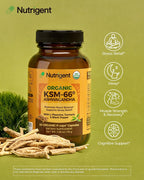 natural energy boost KSM-66 Ashwagandha